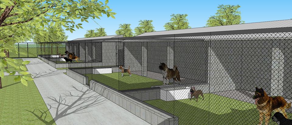 Implantação de canil e castração de cães e gatos